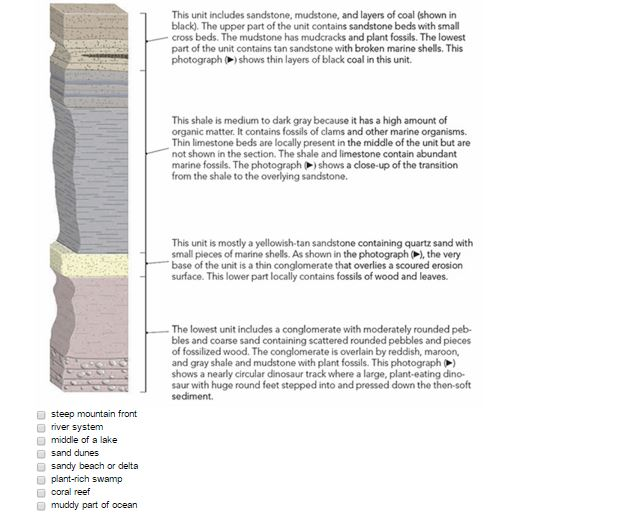 Using the stratigraphic section and photographs | Chegg.com