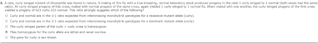 A rare, curly winged mutant of Drosophila was found | Chegg.com