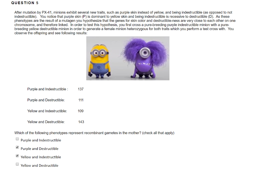 Solved QUESTION 5 After mutation by PX-41, minions exhibit | Chegg.com
