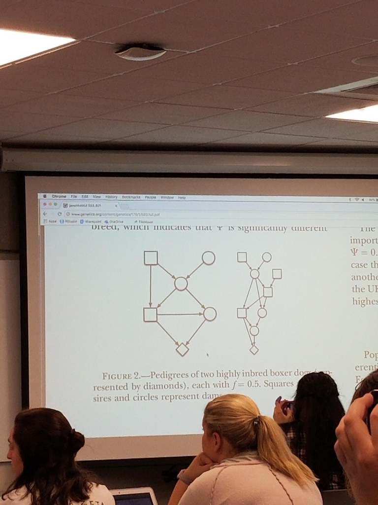 Solved Use the Pathway method to find the inbreeding | Chegg.com