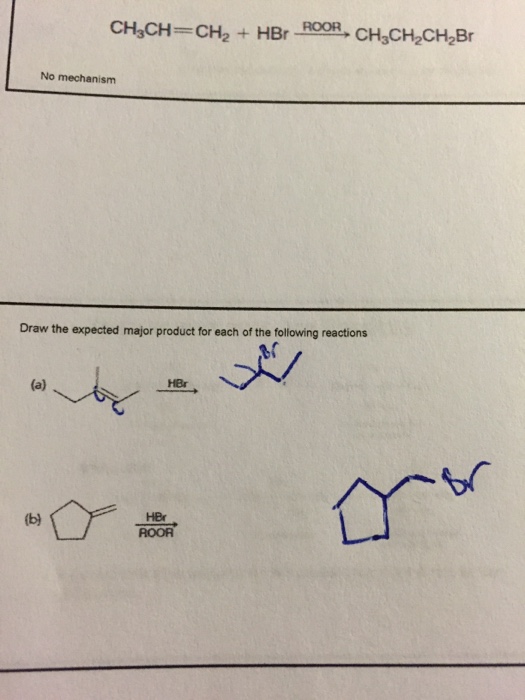 Solved Draw the expected major product for each of the | Chegg.com