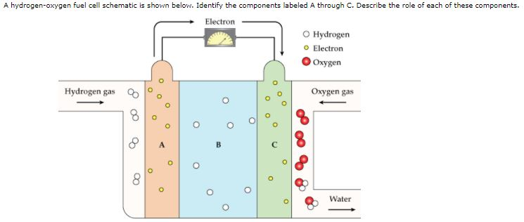 Solved Component A is the (anode, cathode, OR electrolytic | Chegg.com