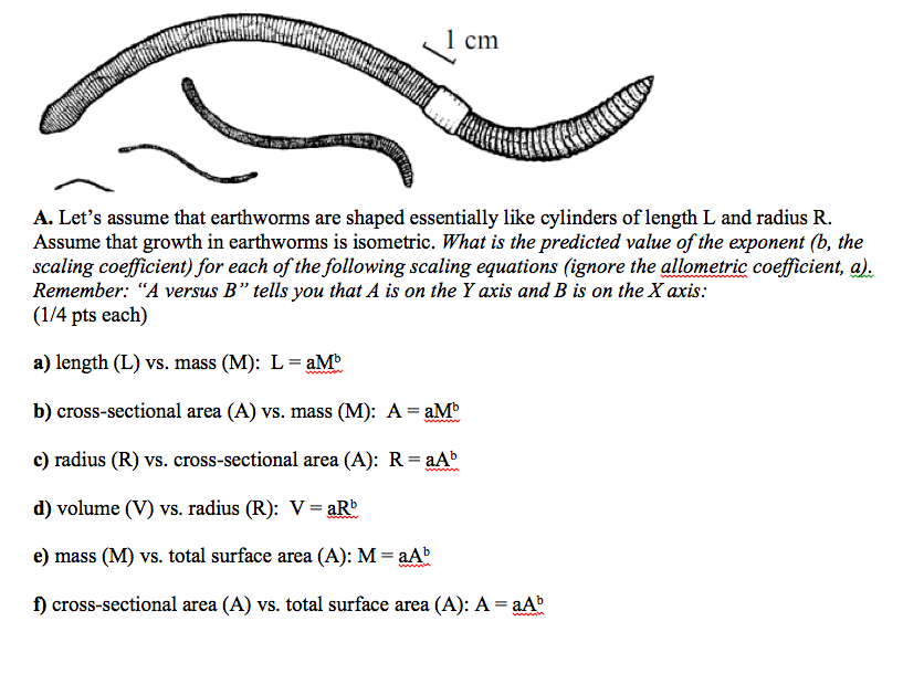 Solved l cm A. Let's assume that earthworms are shaped | Chegg.com