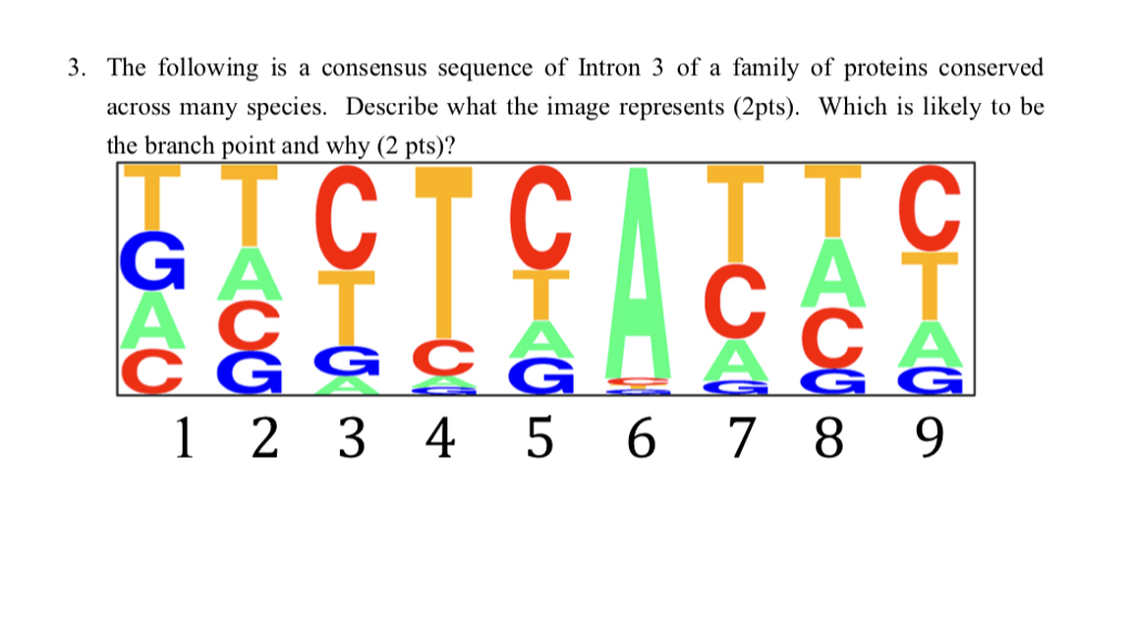 Solved 3. The following is a consensus sequence of Intron 3 | Chegg.com