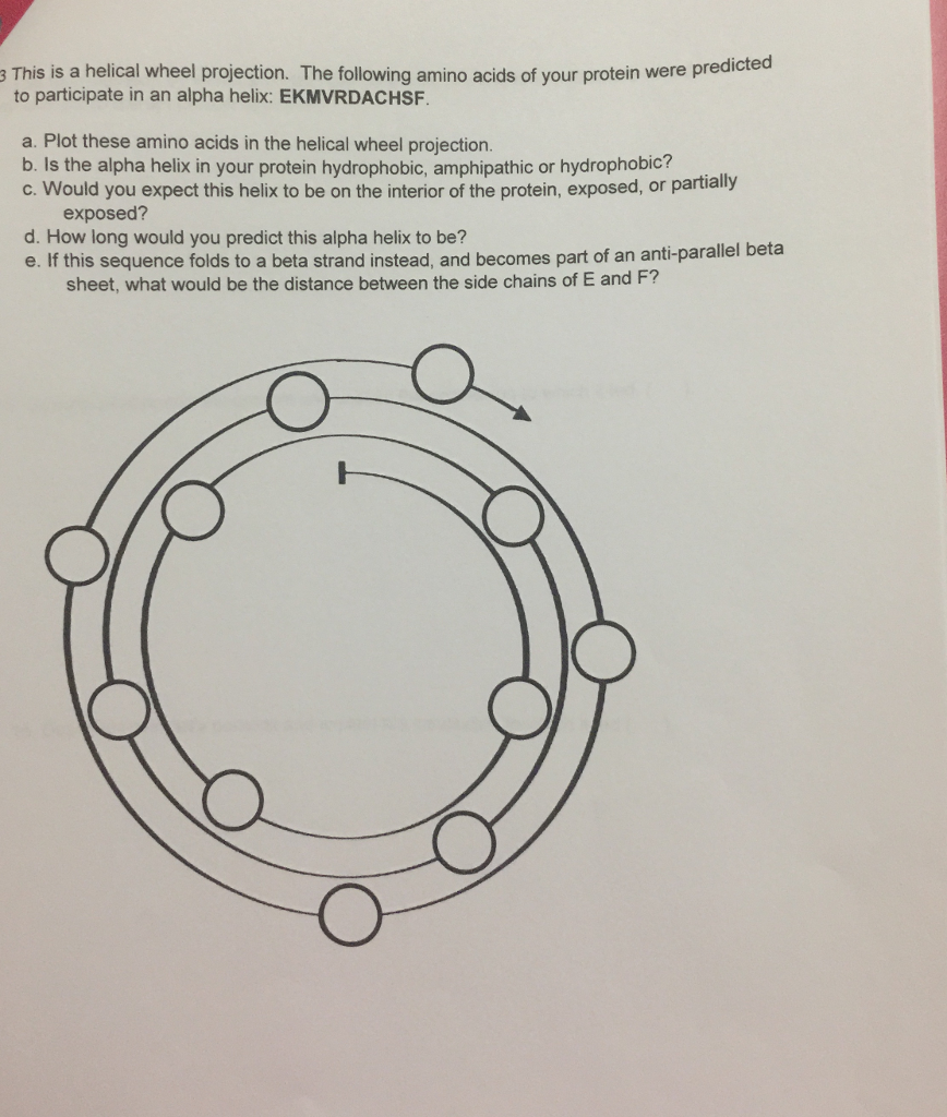Solved This is a helical wheel projection. The following | Chegg.com
