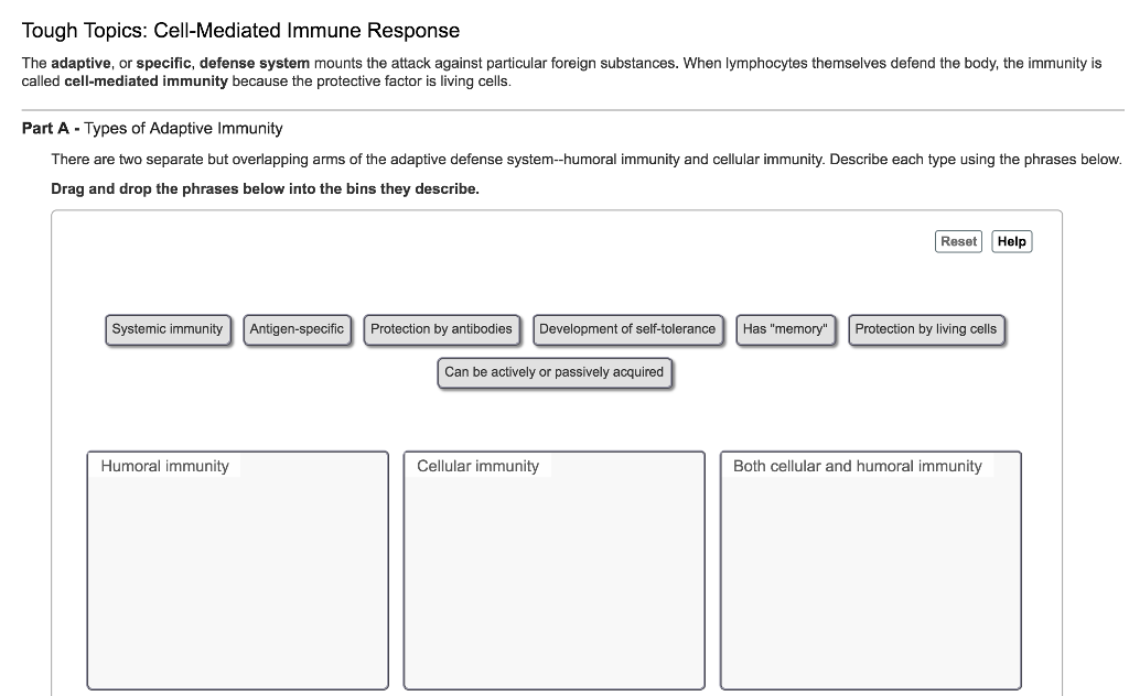 Solved The adaptive, or specific, defense system mounts the | Chegg.com