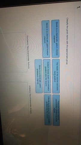 Solved Classify the given with the appropriate group. | Chegg.com