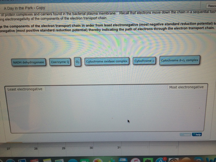 Solved Arrange the components of the electron transport | Chegg.com