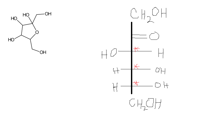 Solved Why is the cyclic structure of fructose a mixture of | Chegg.com
