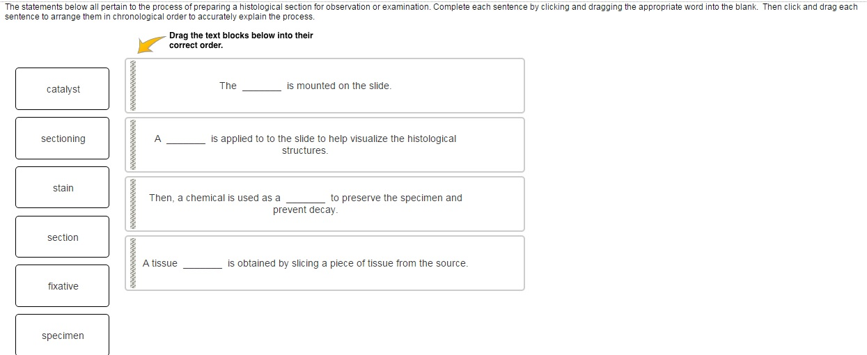 Solved The statements below all pertain to the process of | Chegg.com