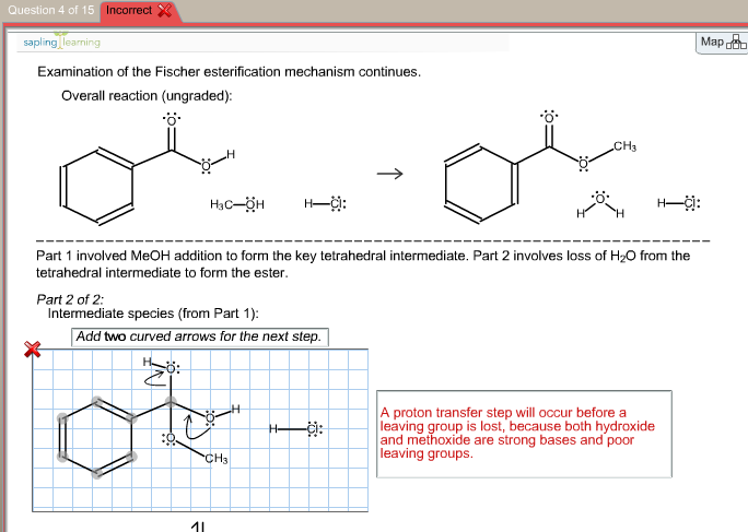 Solved Examination of the Fischer esterification | Chegg.com