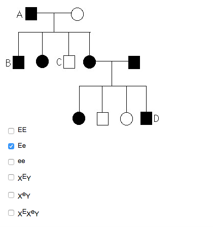 Solved The pedigree below shows the inheritance of a rare | Chegg.com