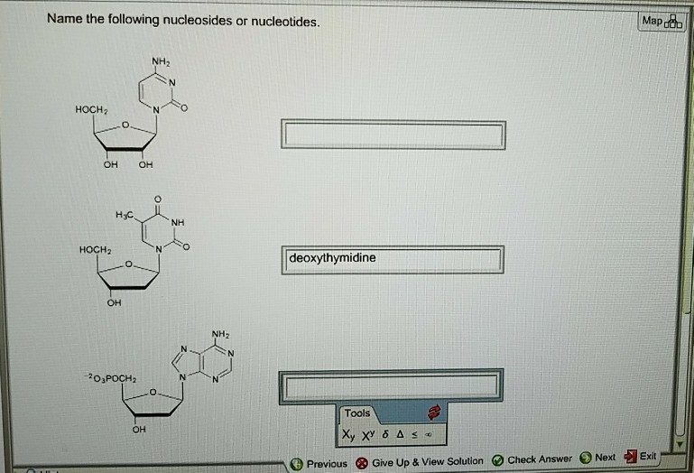 Solved Name the following nucleosides or nucleotides Map NH2 | Chegg.com