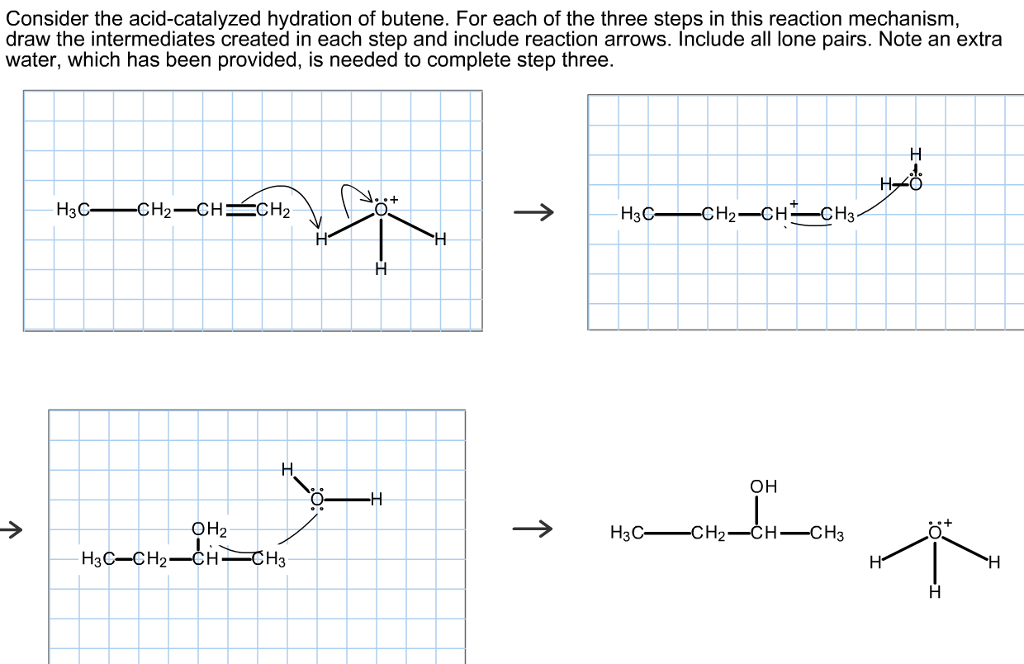 Solved Consider the acid-catalyzed hydration of butene. For | Chegg.com