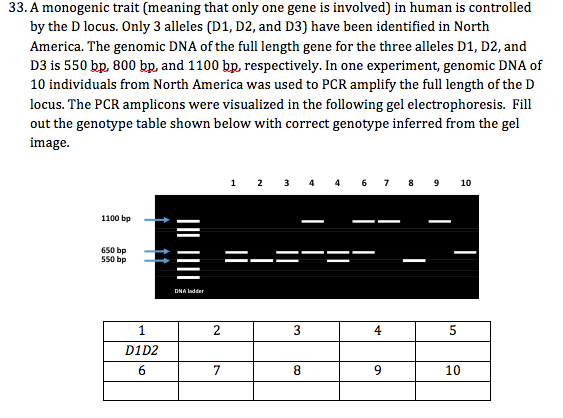 Solved A monogenic trait [meaning that only one gene is | Chegg.com