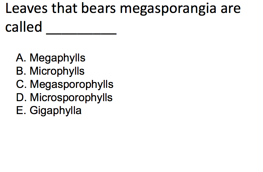 Solved Leaves that bears megasporangia are called A. | Chegg.com