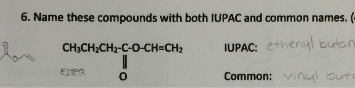Solved Can someone tell me what the IUPAC name for this | Chegg.com