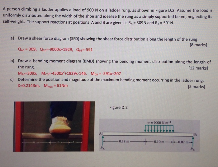 Solved A person climbing a ladder applies a load of 900 N on | Chegg.com