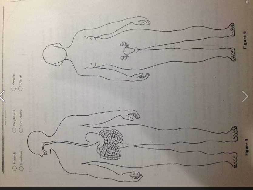 Biology Archive | March 09, 2016 | Chegg.com