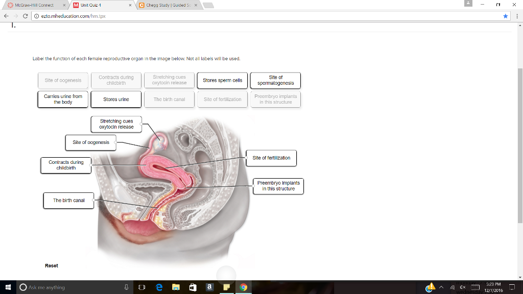 Solved Label the function of each female reproductive organ | Chegg.com