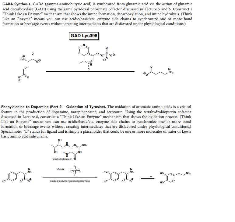 GABA Synthesis. GABA (gamma-aminobutyric acid) is | Chegg.com