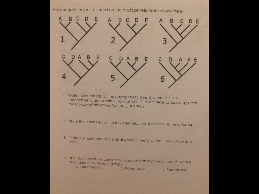 Solved Answer questions 6-9 based on the phylogenetic trees | Chegg.com