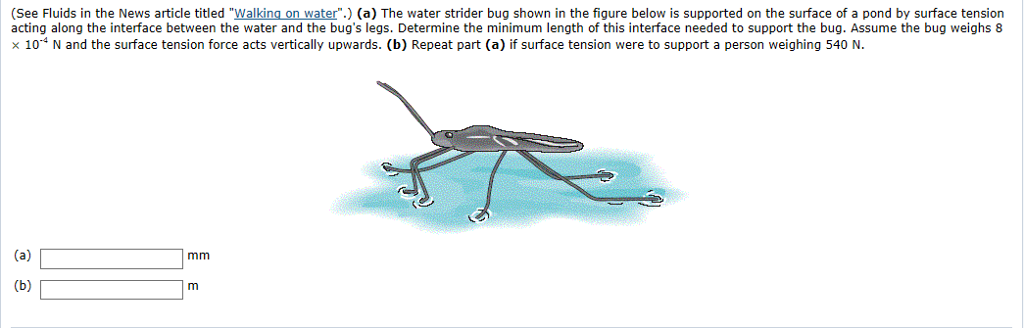 Solved The water strider bug shown in the figure below is | Chegg.com
