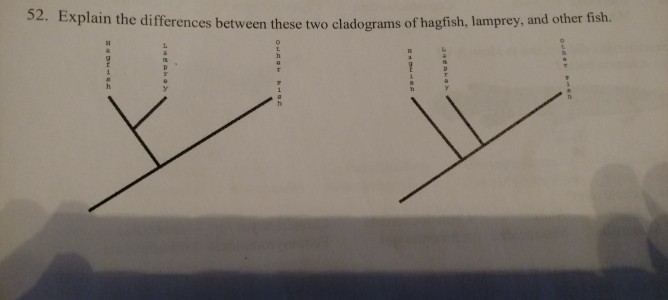 Solved 52. Explain the differences between these two | Chegg.com