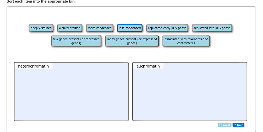 Solved Sort each item into the appropriate bin. deeply | Chegg.com