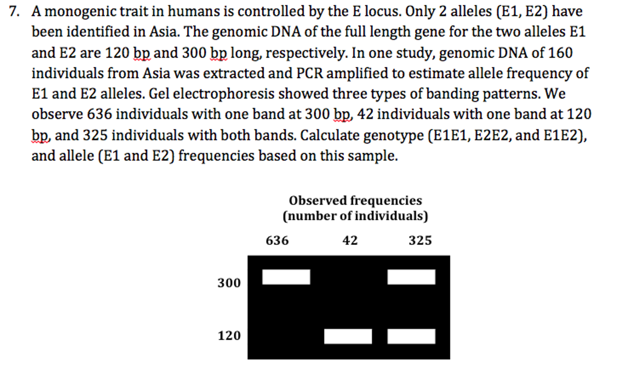 Solved A monogenic trait in humans is controlled by the E | Chegg.com
