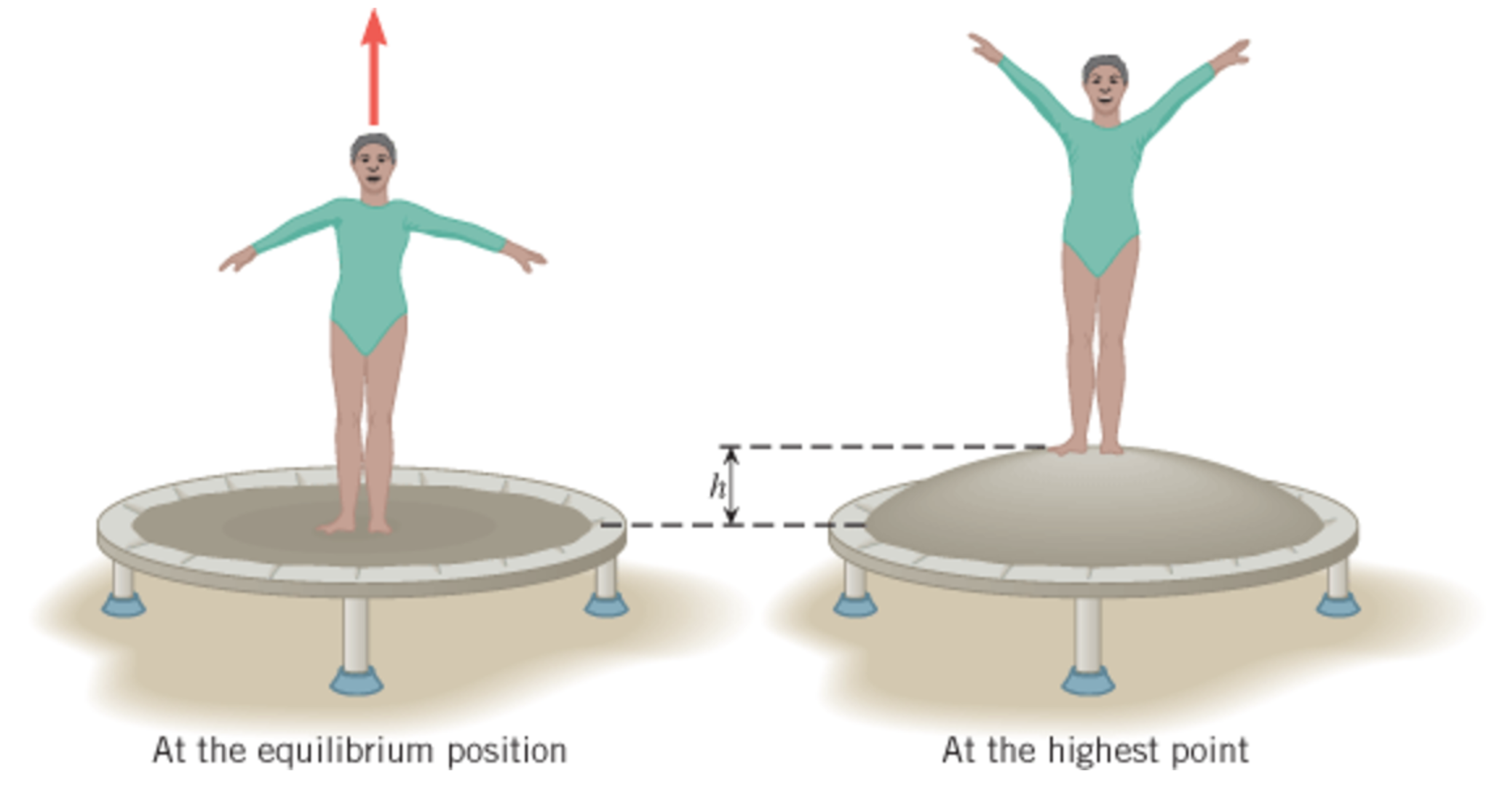 Solved A person bounces up and down on a trampoline, while | Chegg.com