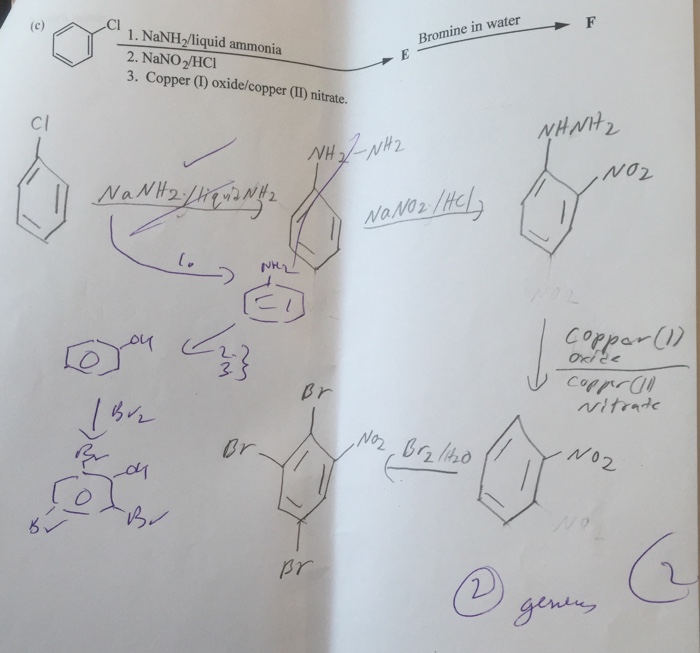 Solved waterF (c) ノへ /Cl Bromine in water 1 . NaNH2/liquid | Chegg.com