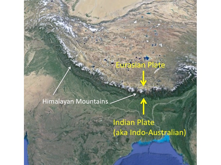 Solved In the image below, the yellow arrows show relative | Chegg.com