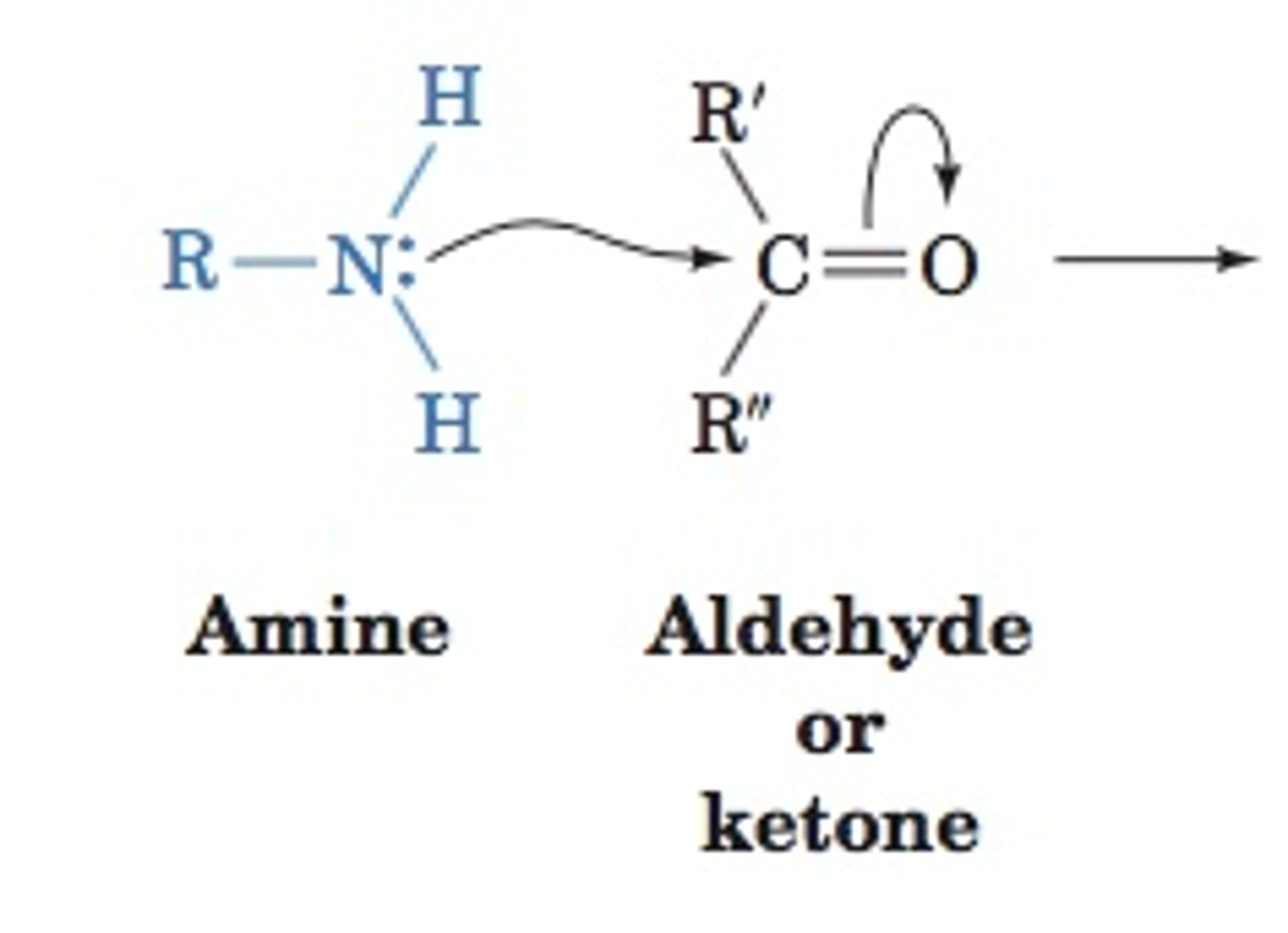Solved Using the reaction shown in Box 11-1 (the attack of | Chegg.com