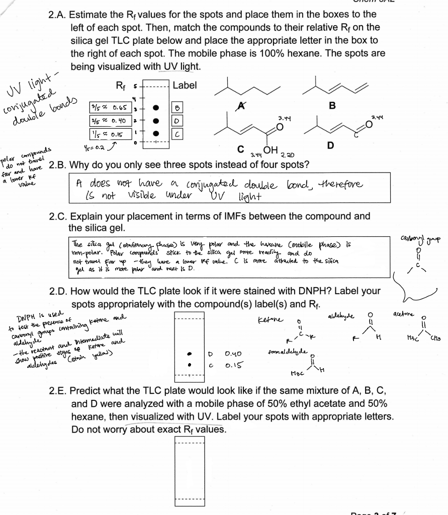 Solved 2 A Estimate The Rf Values For The Spots And Place