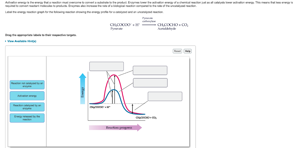 Solved va on energy s the energy that a reaction must | Chegg.com
