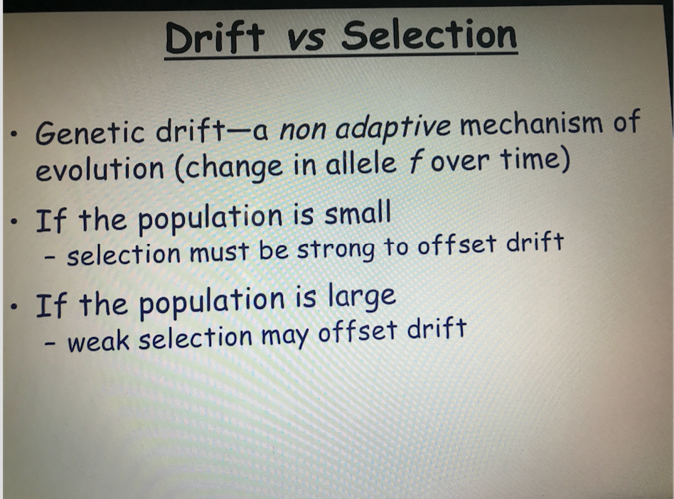 Solved Drift vs Selection Genetic drift-a non adaptive | Chegg.com