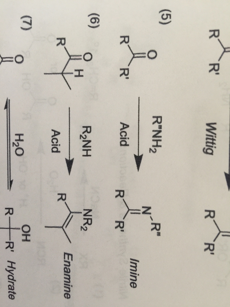 Solved (6) o (7) Wittig R"NH Acid R2NH Acid H20 R" Imine NR | Chegg.com