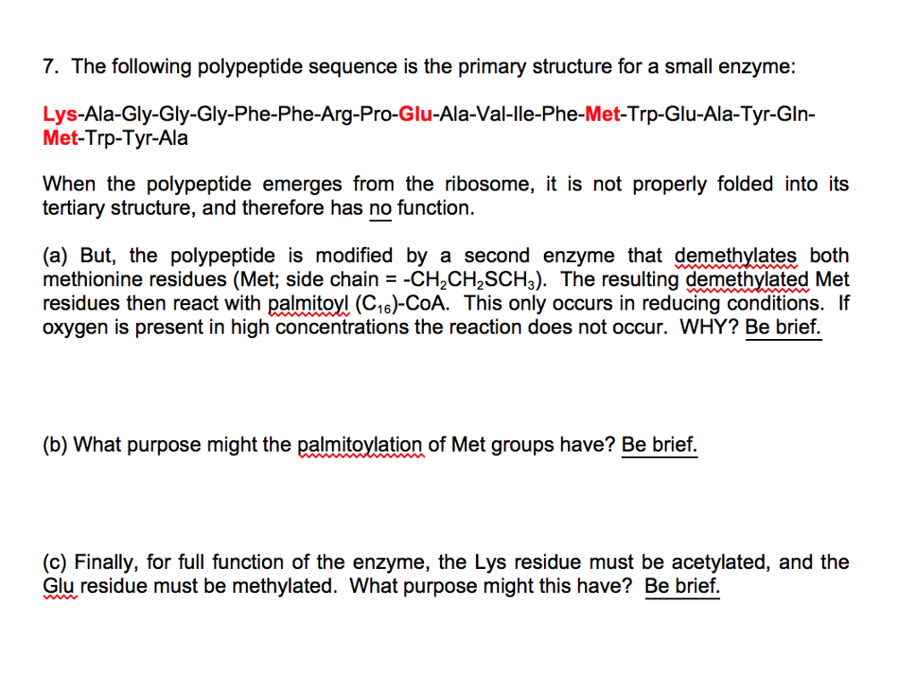Solved The following polypeptide sequence is the primary | Chegg.com