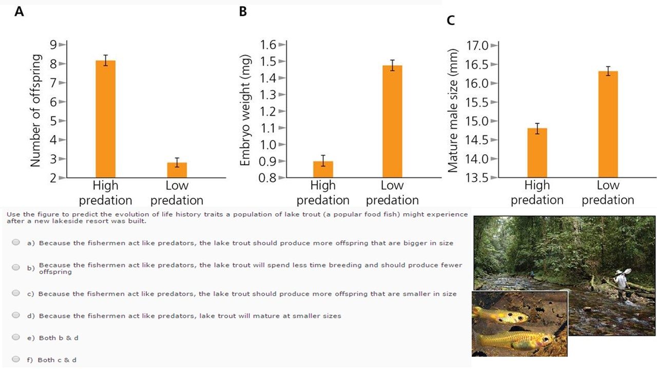 Solved Biology/ Evolution/ After conception: the evolution | Chegg.com