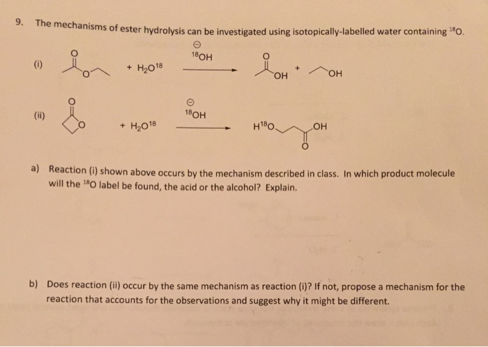 Solved The mechanisms of ester hydrolysis can be | Chegg.com