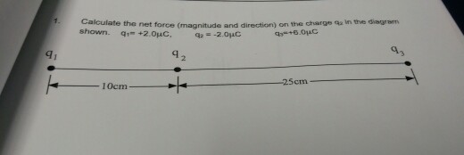 Solved Calculate the net force (magnitude and direction) on | Chegg.com
