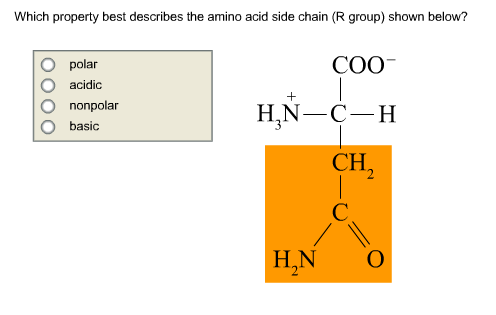 Solved which property best describes the amino acid side | Chegg.com