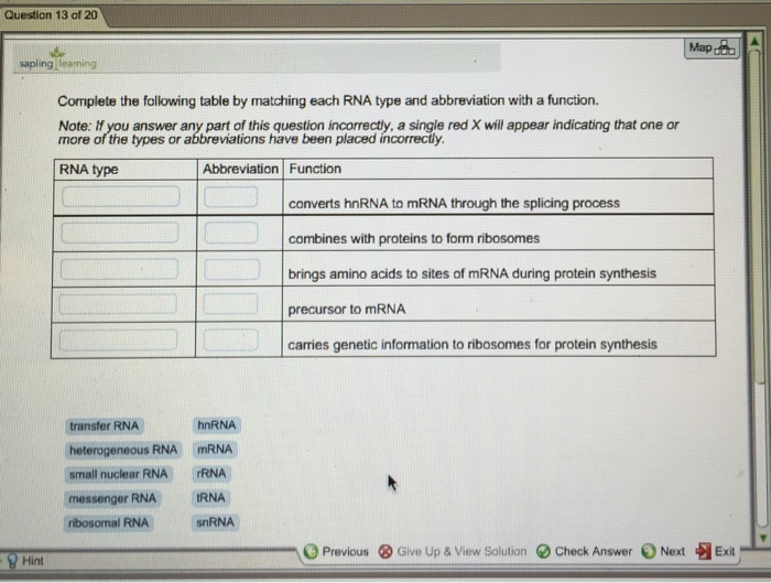 Solved Complete the following table my matching each RNA | Chegg.com