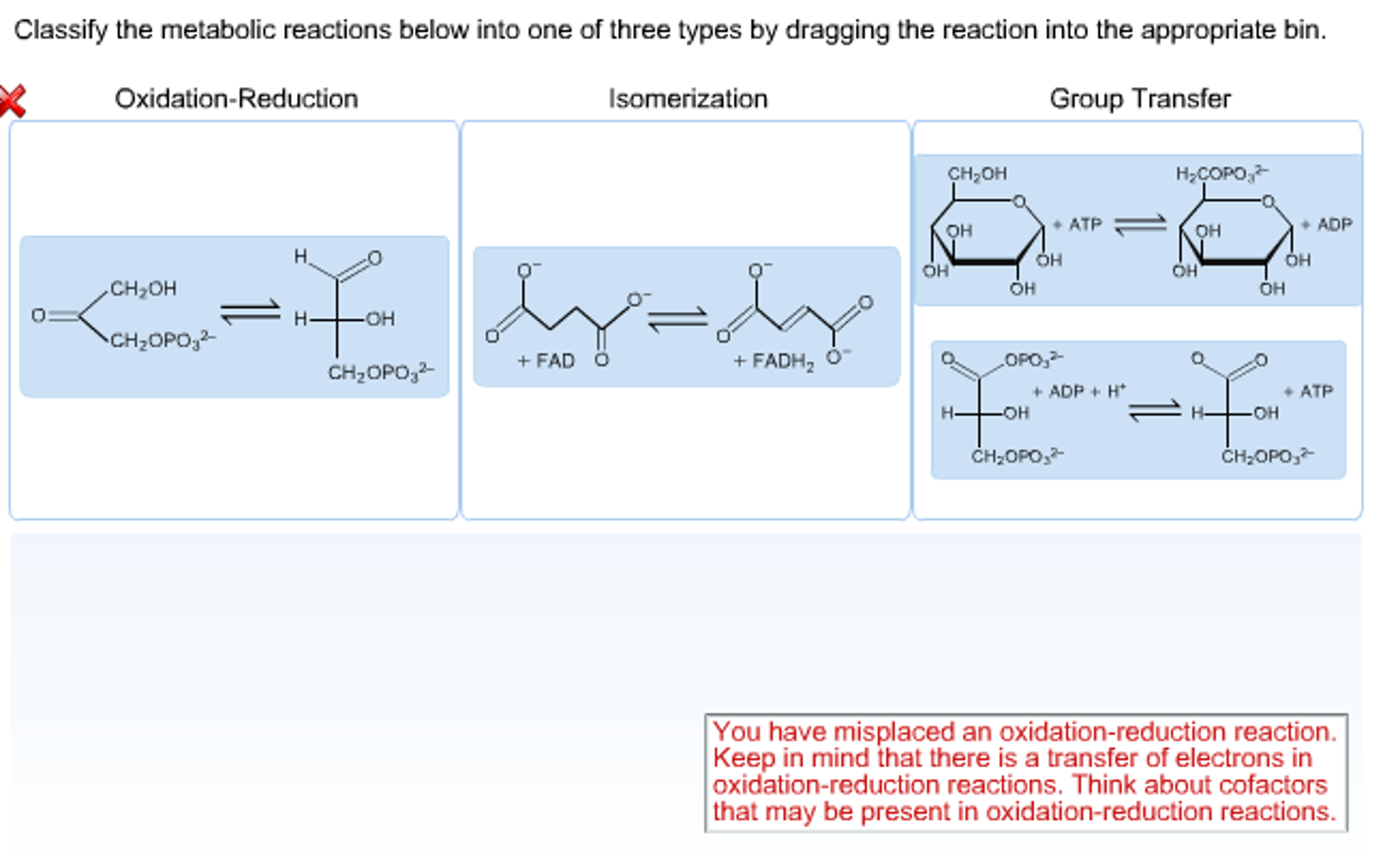 Solved Classify the metabolic reactions below into one of | Chegg.com