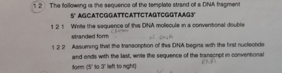Solved 12) The following is the sequence of the template | Chegg.com