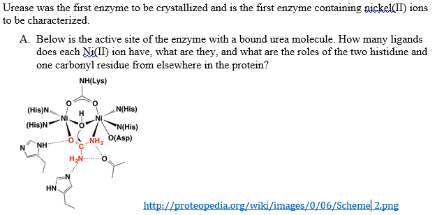Urease was the first enzyme to be crystallized and is | Chegg.com