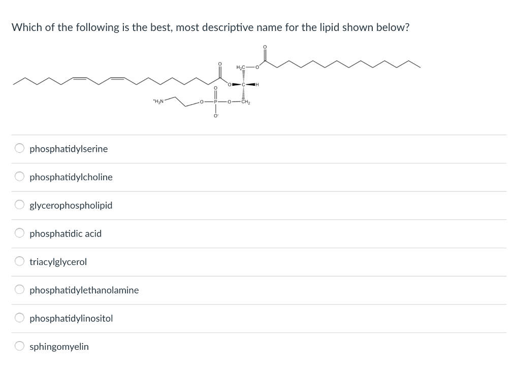 Solved Which of the following is the best, most descriptive | Chegg.com