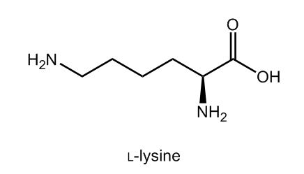 Solved Consider the amino acid lysine. The structure of | Chegg.com