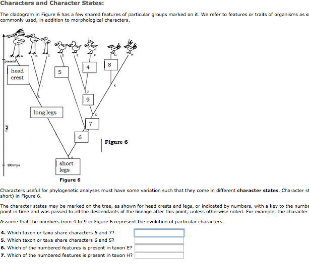 Solved Characters and Character States: The cladogram in | Chegg.com